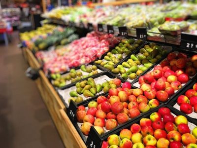 EBT Application Guide: Everything You Must Know To Maximize Benefits ...